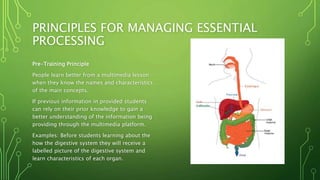 Module 1 assignment 2 (adanna britto) | PPTX