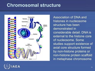 Module 1_Basics of biological effects of ionizing radiation.ppt