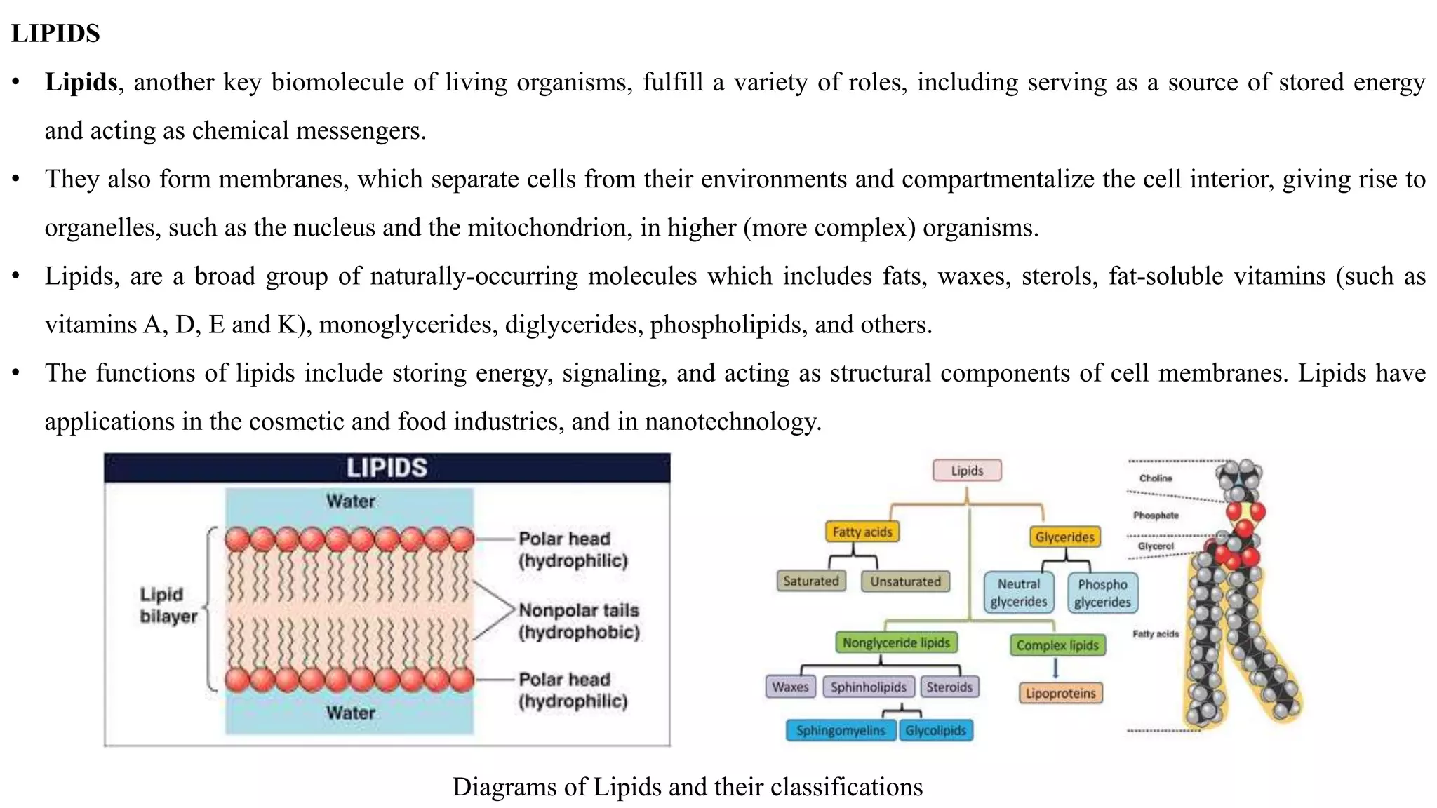 BIOMOLECULES AND THEIR APPLICATIONS (QUALITATIVE)_.pptx