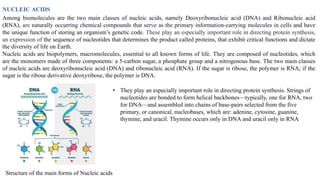 BIOMOLECULES AND THEIR APPLICATIONS (QUALITATIVE)_.pptx