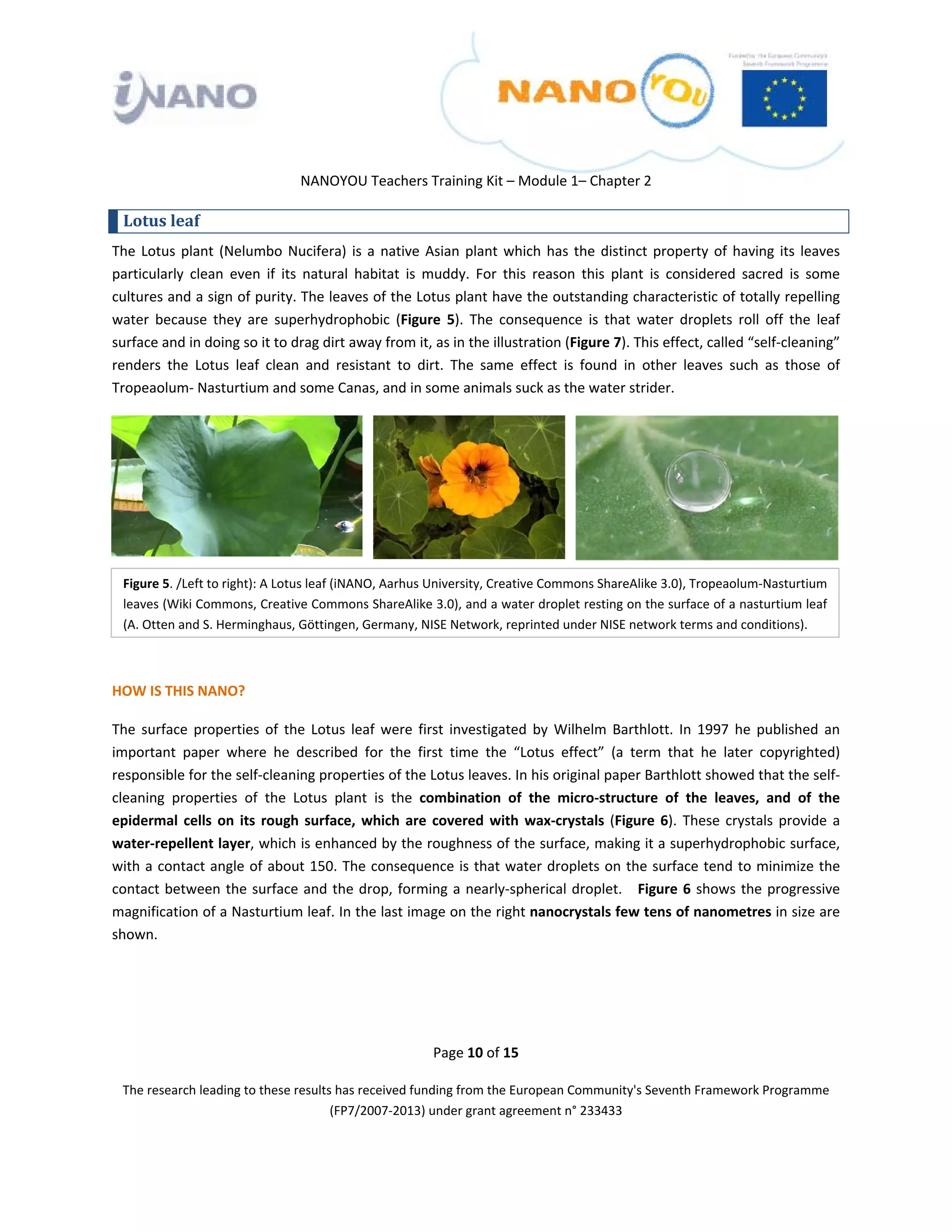 Nanoscience in nature | PDF