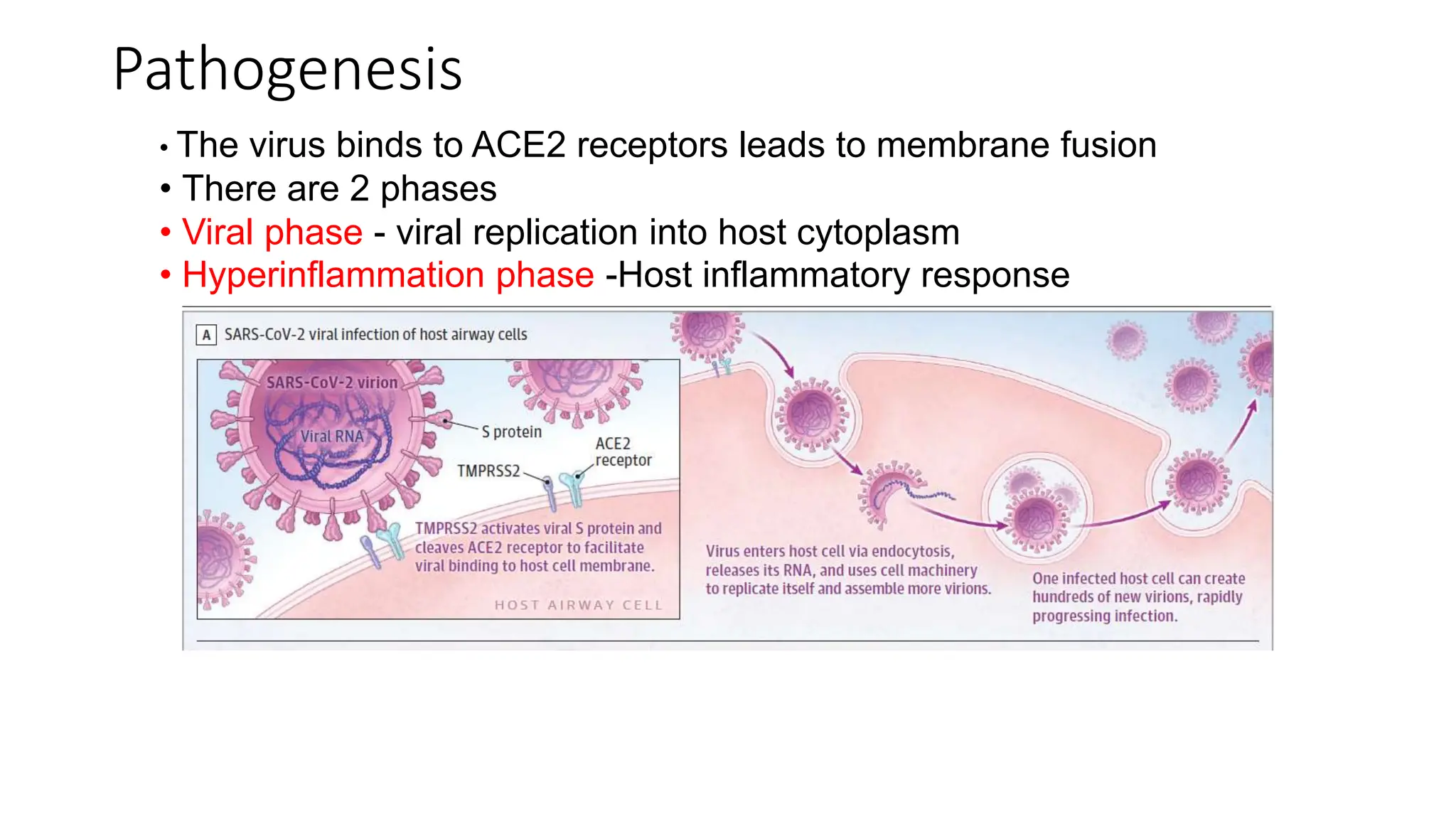 Module 1_ COVID-19 clinical perspective.pptx