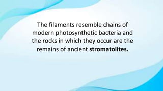 Module 1_Evolving Concept of life Based on Emerging Pieces of Evidence.pptx