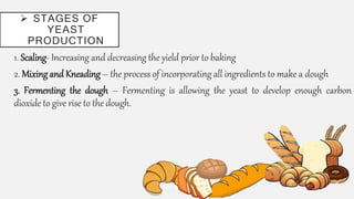 Preparing Yeast Bread- Ferrolino and Redoma | PPTX | Cooking | Food & Drink