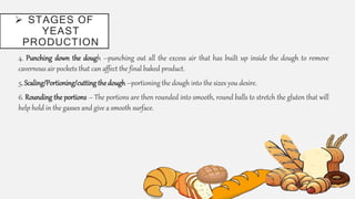 Preparing Yeast Bread- Ferrolino and Redoma | PPTX | Cooking | Food & Drink