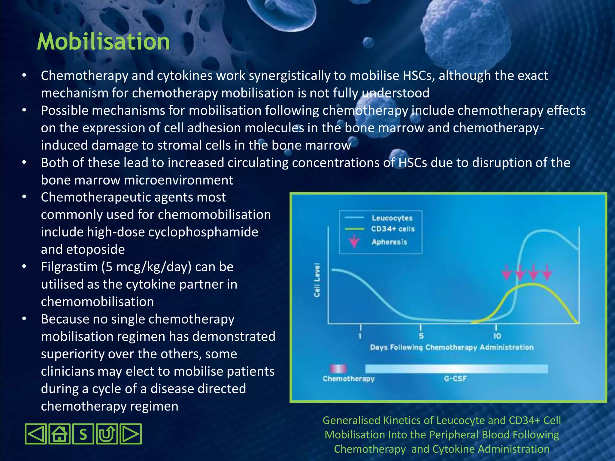 Haematopoietic Stem Cell Mobilisation and Apheresis | PPTX
