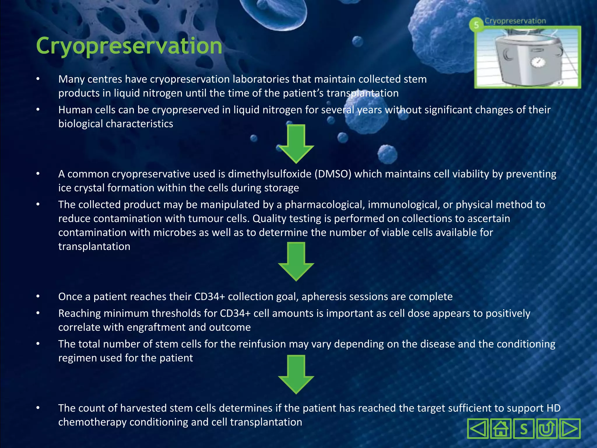 Haematopoietic Stem Cell Mobilisation and Apheresis | PPTX