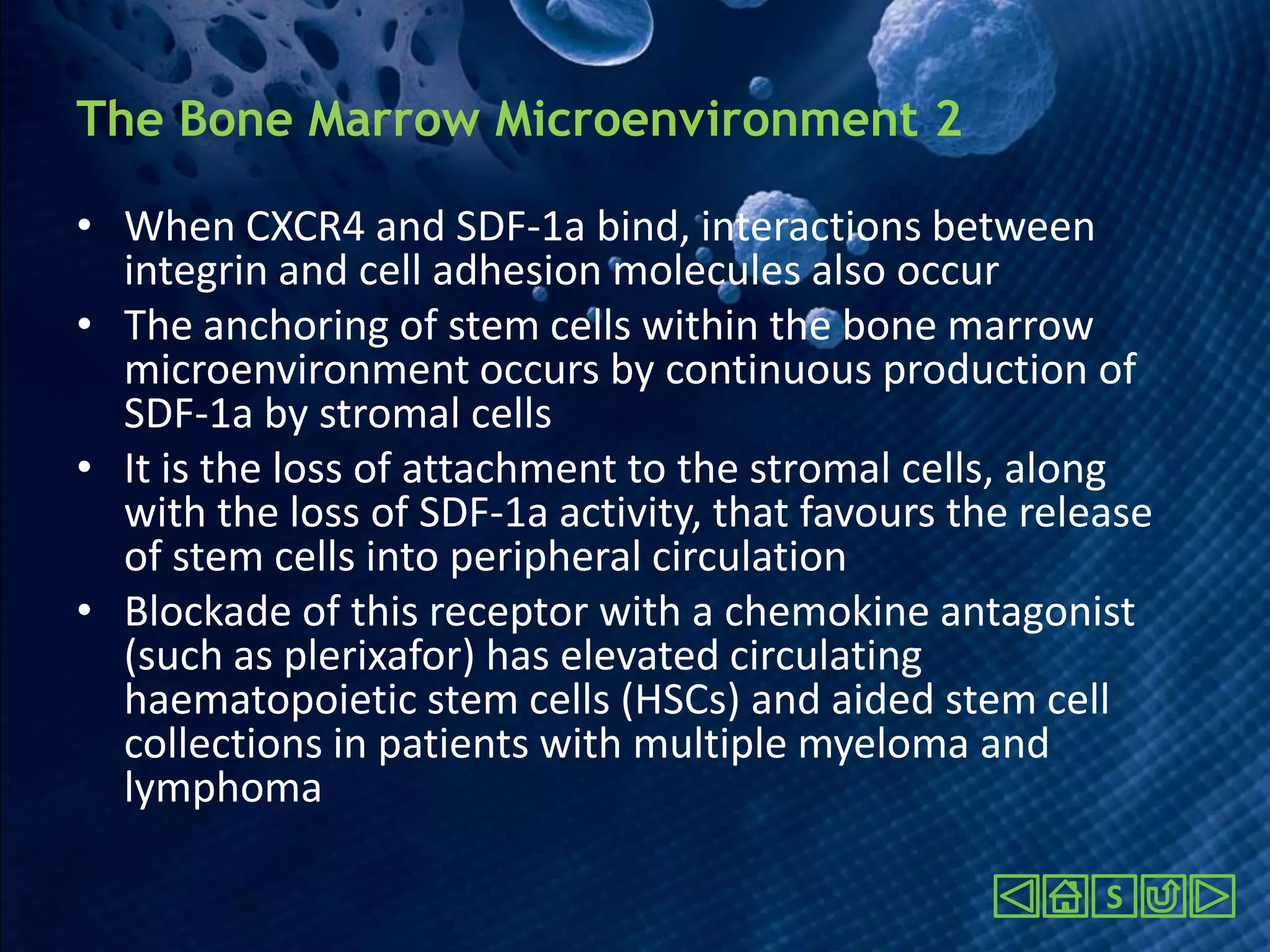 Haematopoietic Stem Cell Mobilisation and Apheresis | PPTX