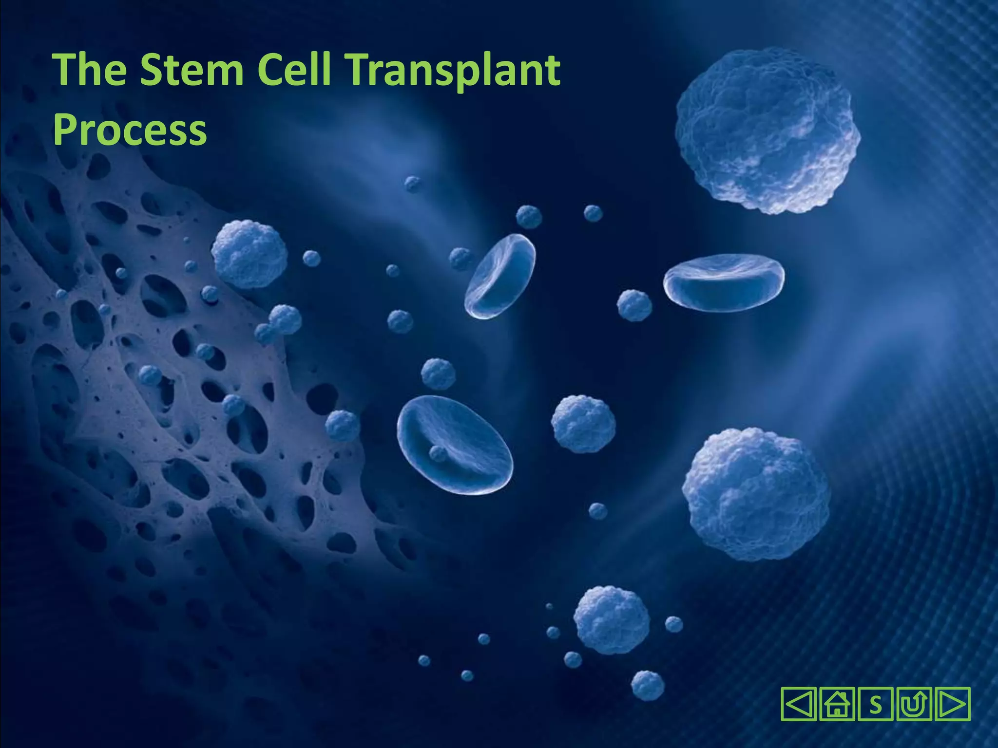 Haematopoietic Stem Cell Mobilisation and Apheresis | PPTX