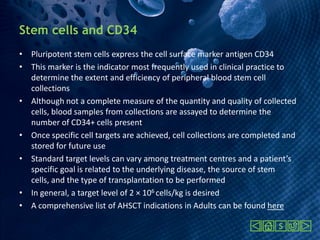 Haematopoietic Stem Cell Mobilisation and Apheresis | PPTX