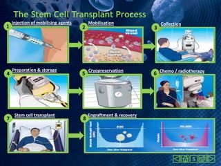 Haematopoietic Stem Cell Mobilisation and Apheresis | PPTX
