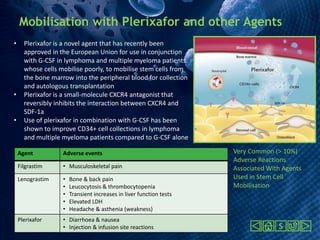 Haematopoietic Stem Cell Mobilisation and Apheresis | PPTX