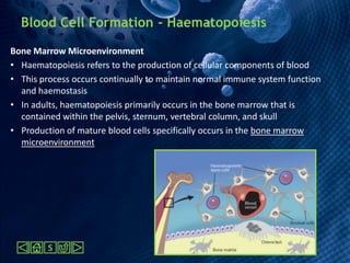 Haematopoietic Stem Cell Mobilisation and Apheresis | PPTX