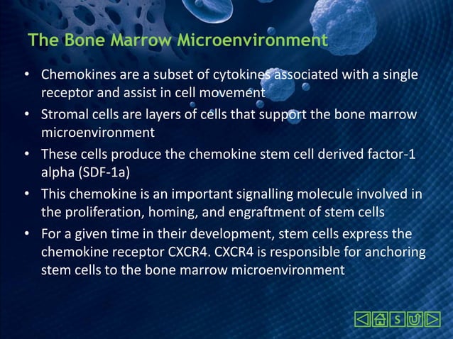 Haematopoietic Stem Cell Mobilisation and Apheresis | PPTX