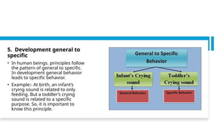 Human Development and its stages psychology | PPTX