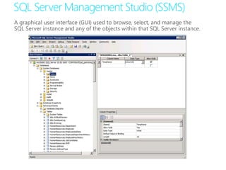 Module_1 Introducing Core Database Concepts.pptx