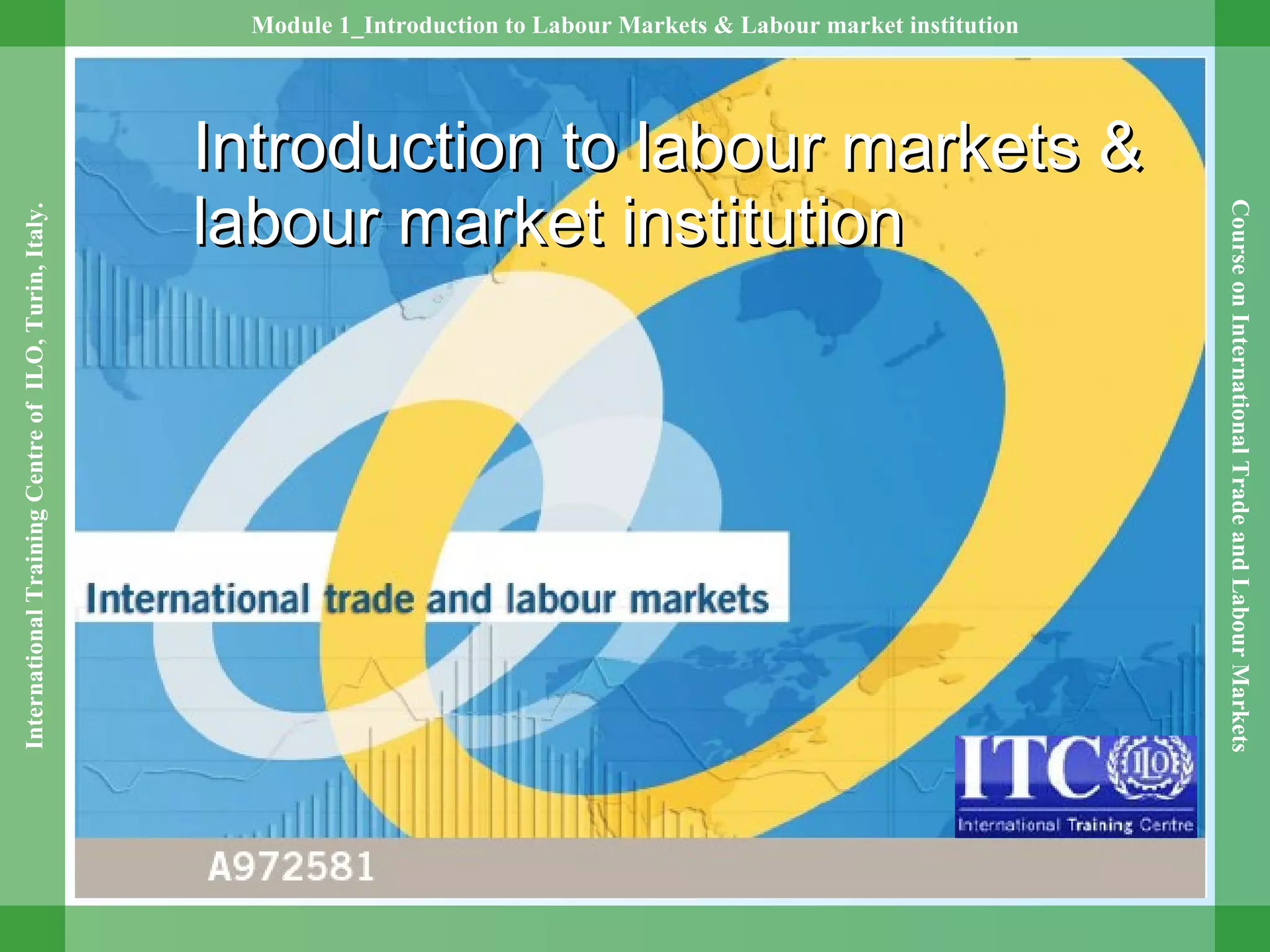 Module 1 introduction to labour markets & labour market institution ...