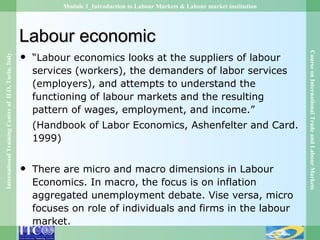Module 1 introduction to labour markets & labour market institution ...