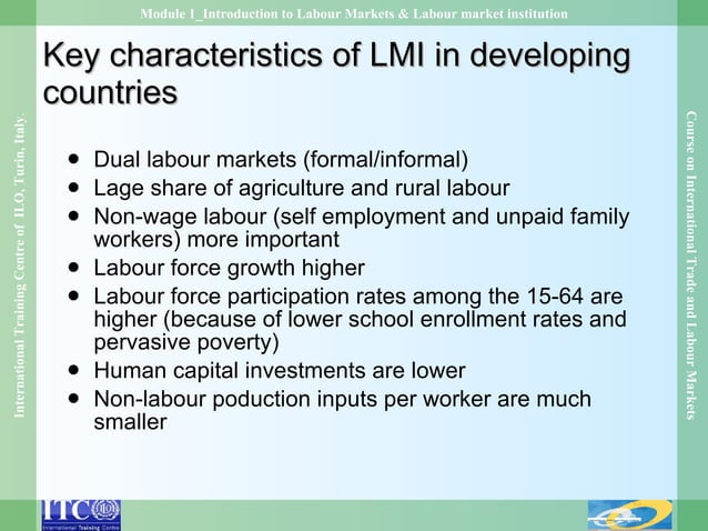 Module 1 introduction to labour markets & labour market institution ...