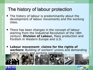Module 1 introduction to labour markets & labour market institution ...