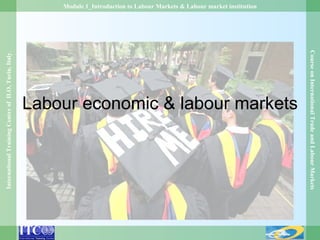 Module 1 introduction to labour markets & labour market institution ...