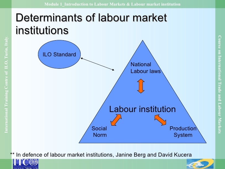 Module 1 introduction to labour markets & labour market institution f…