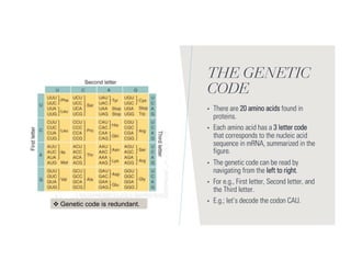 Module 1 Lesson 1 of 3-1.pdf