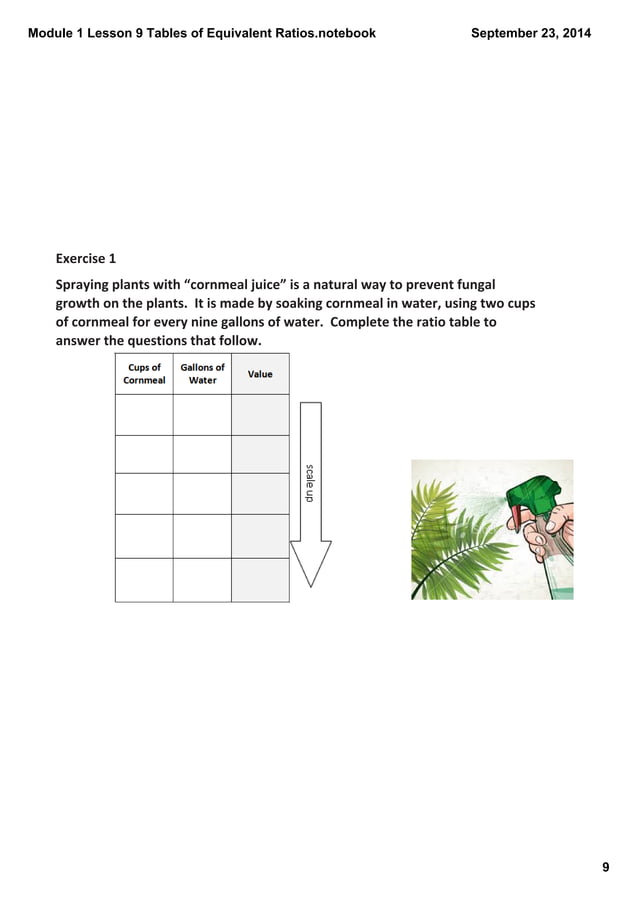 Module 1 lesson 9 | PDF