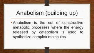 Module 1 Metabolism.pptx