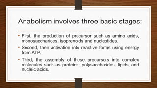 Module 1 Metabolism.pptx