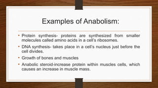 Module 1 Metabolism.pptx