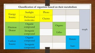 Module 1 Metabolism.pptx