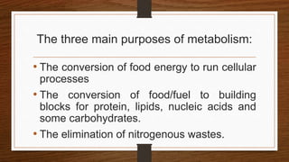 Module 1 Metabolism.pptx
