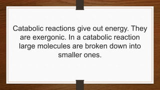 Module 1 Metabolism.pptx