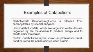 Module 1 Metabolism.pptx