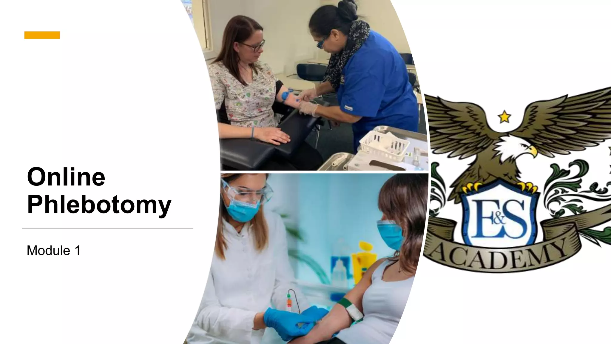 Module 1 - Online Phlebotomy | PPT