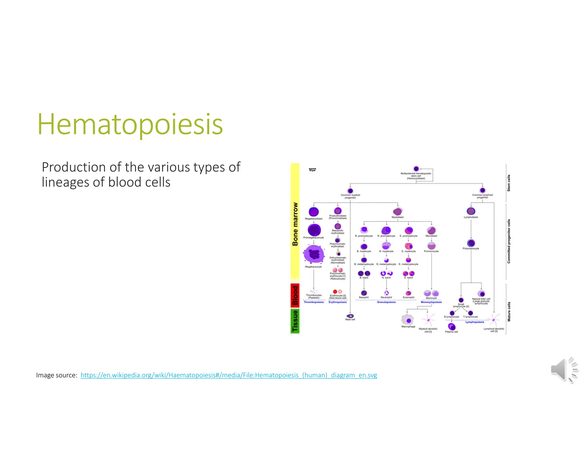 Module 1 Overview - Color Slides 2021.pdf