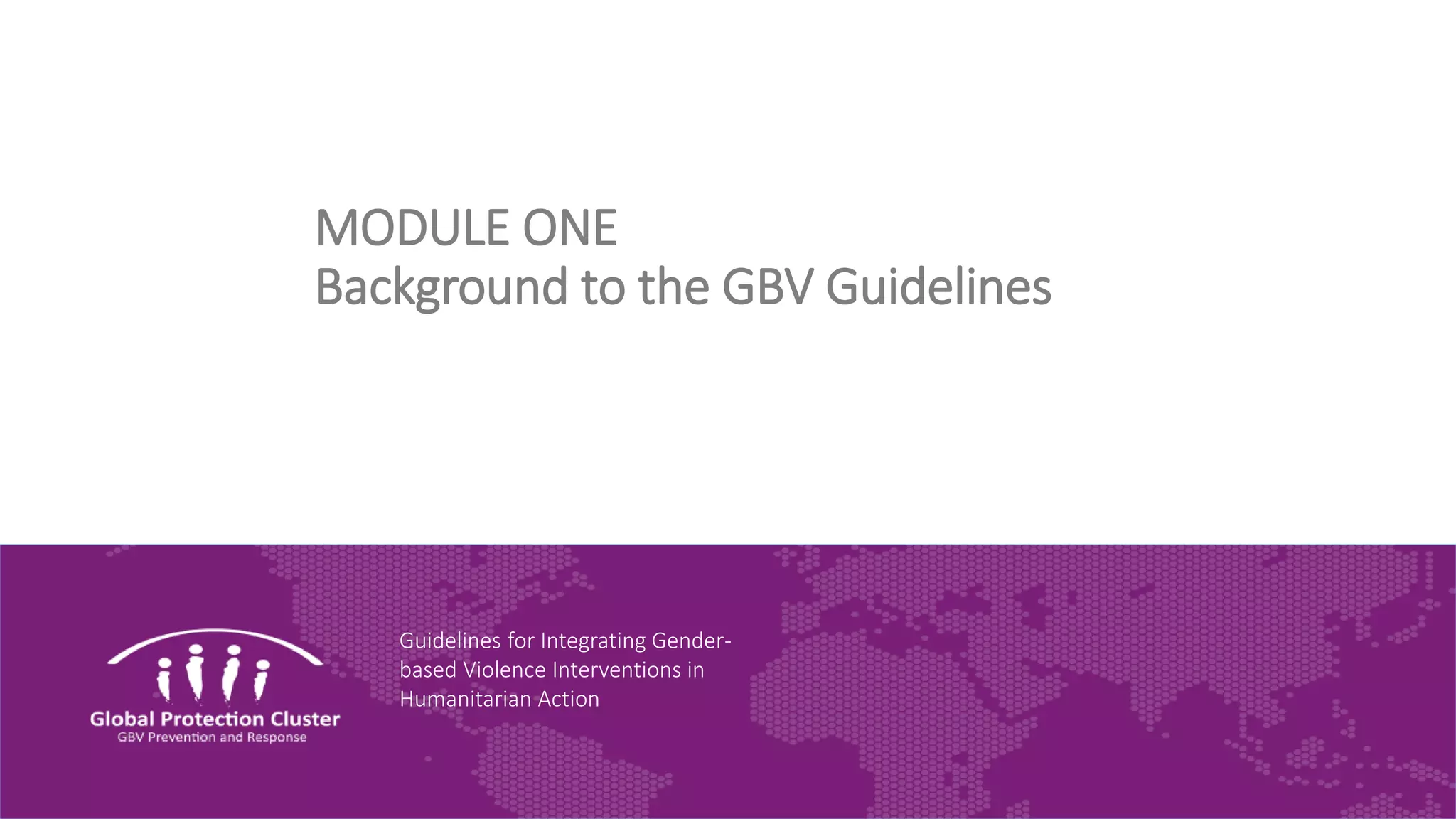 Module 1: Background to the GBV Guidelines | PPTX