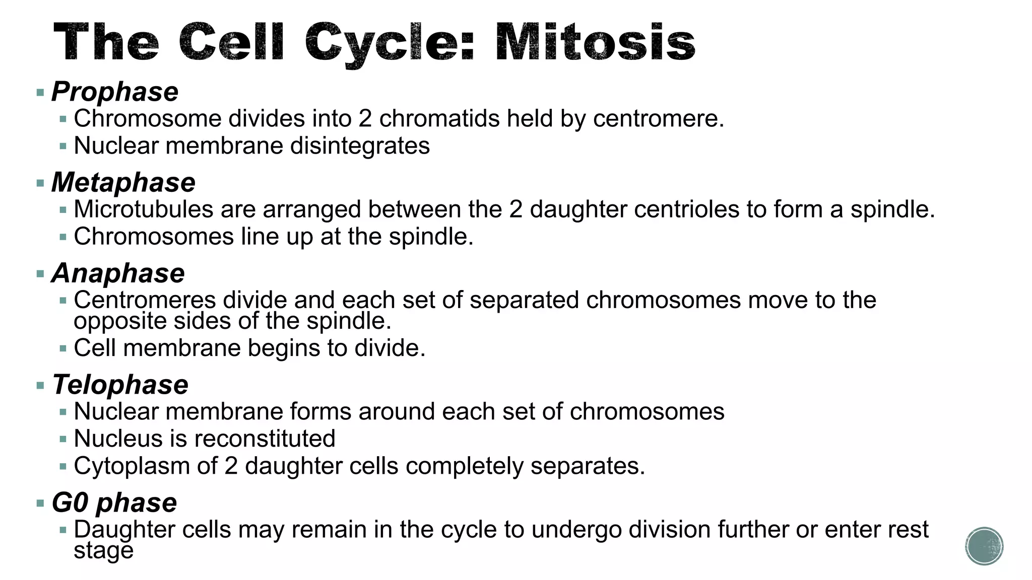 Pathophysiology: Cells and the Immune System | PPTX