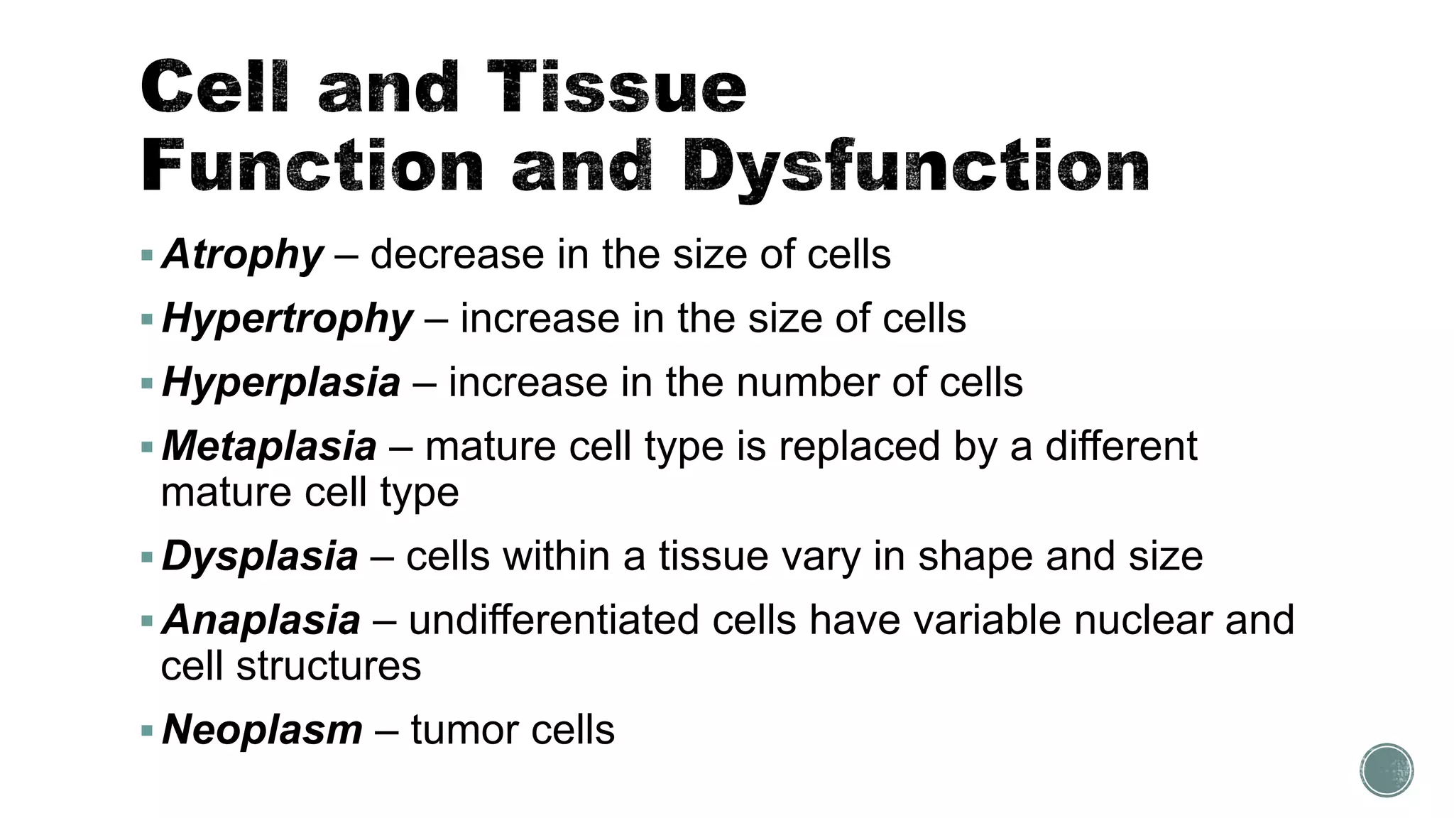 Pathophysiology: Cells and the Immune System | PPTX