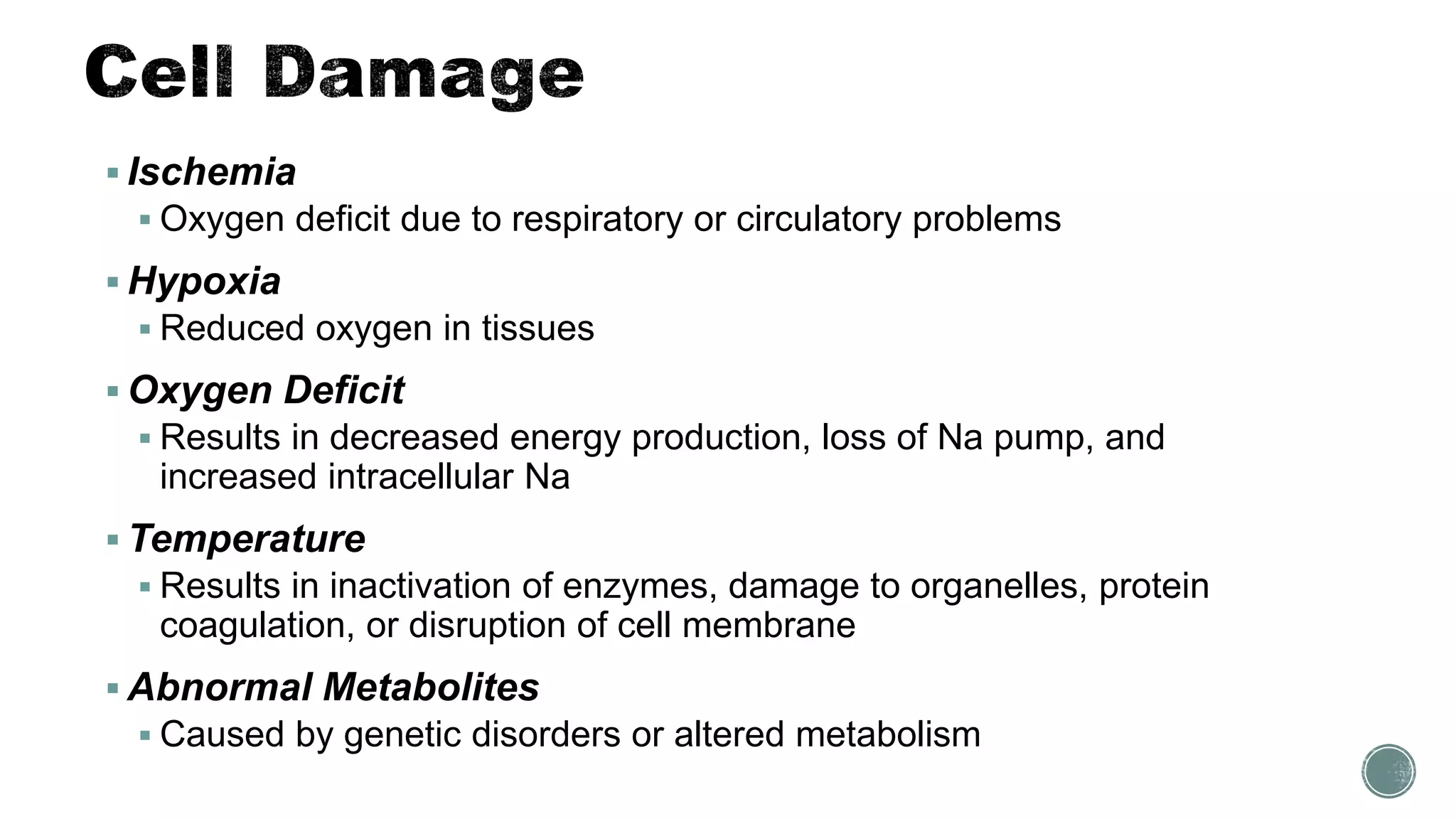 Pathophysiology: Cells and the Immune System | PPTX