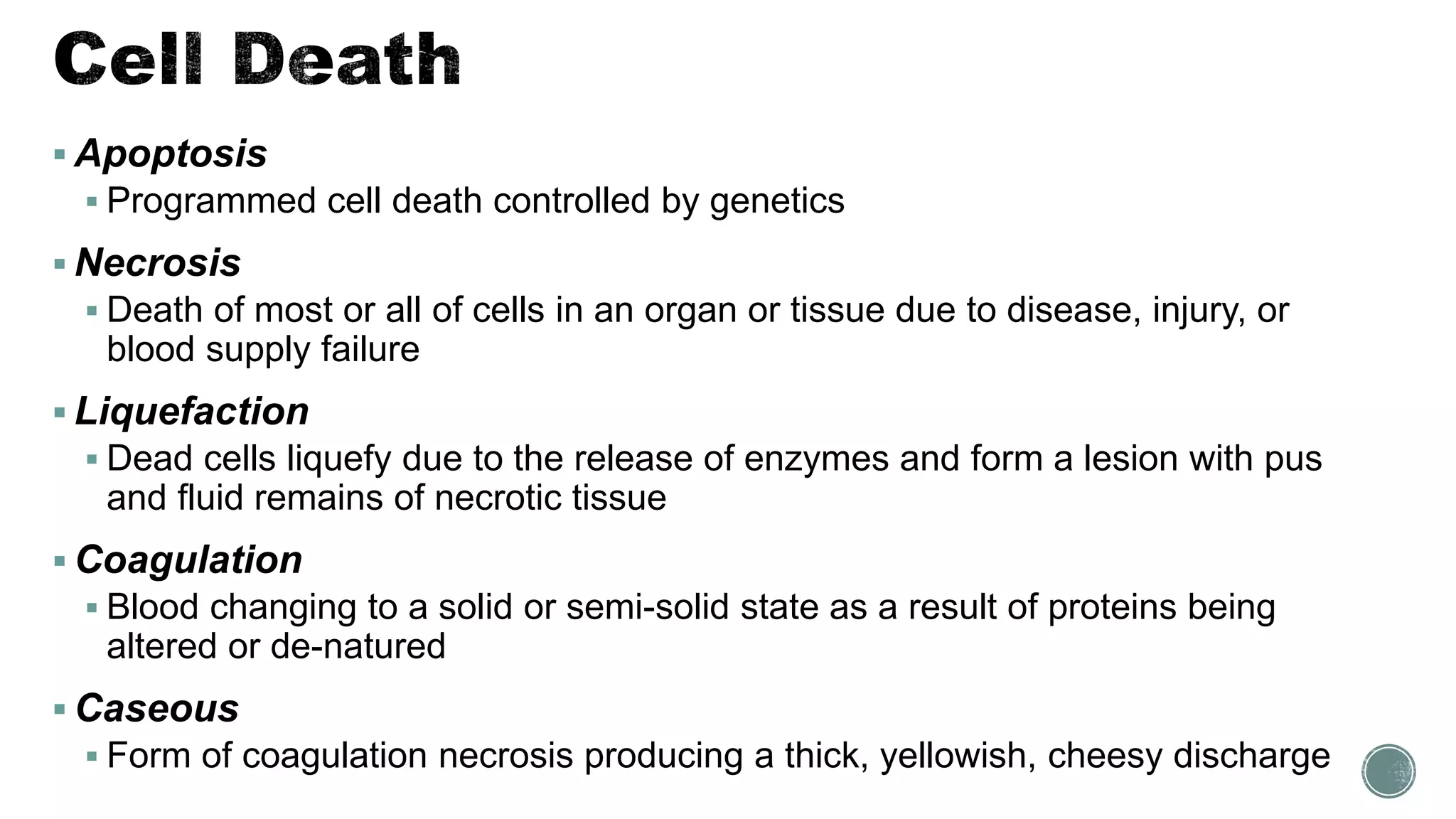 Pathophysiology: Cells and the Immune System | PPTX