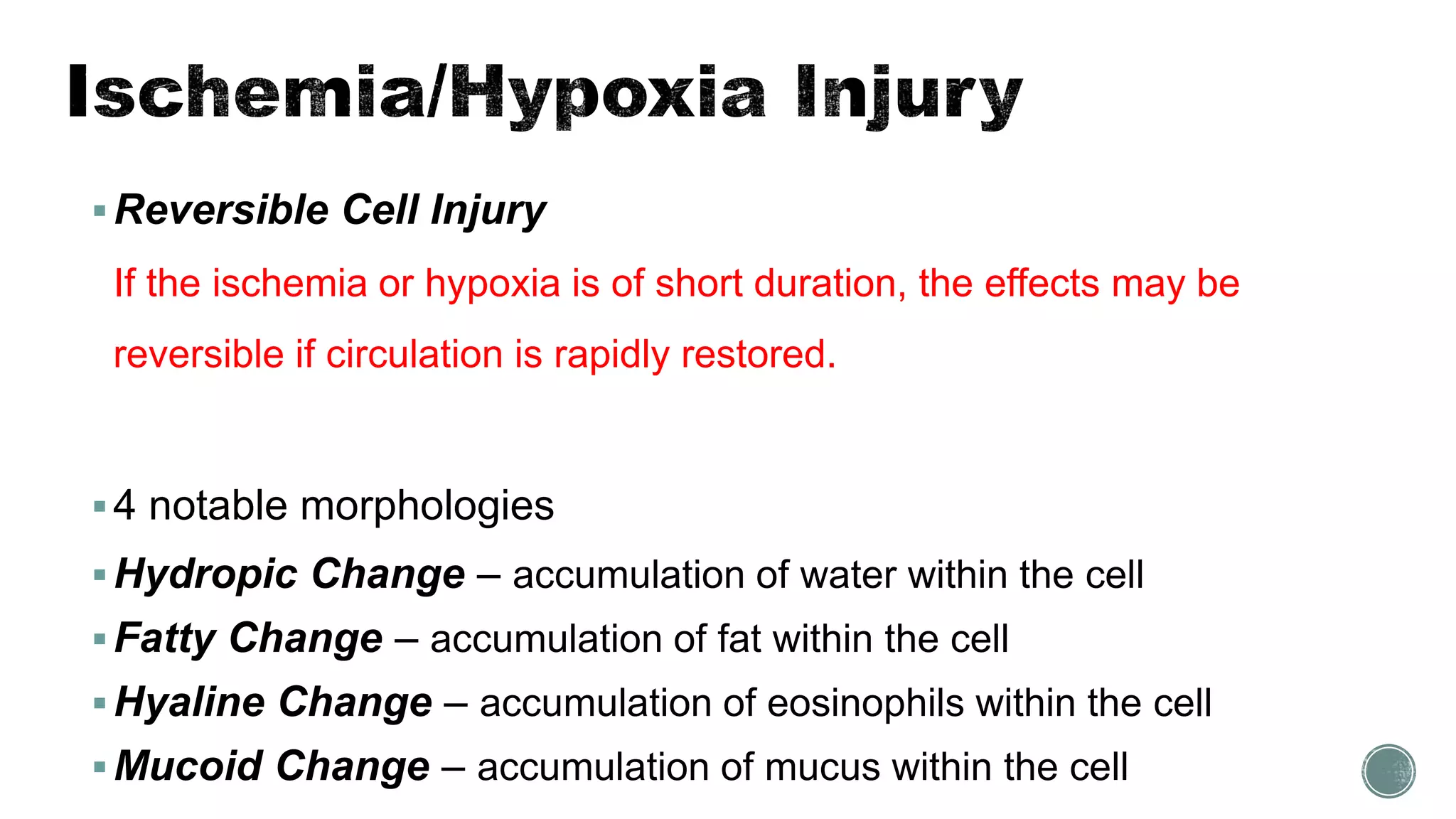 Pathophysiology: Cells and the Immune System | PPTX
