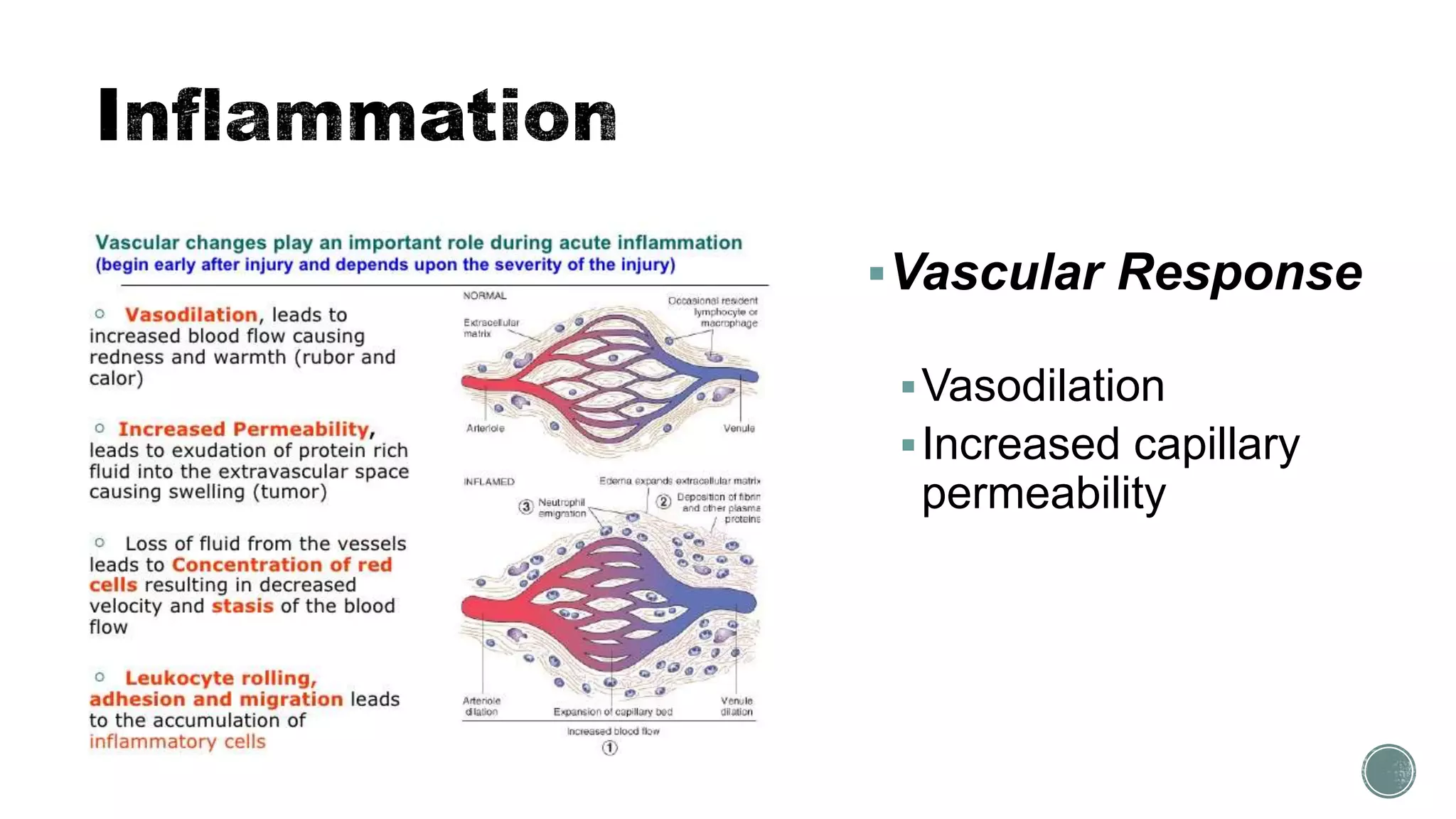 Pathophysiology: Cells and the Immune System | PPTX