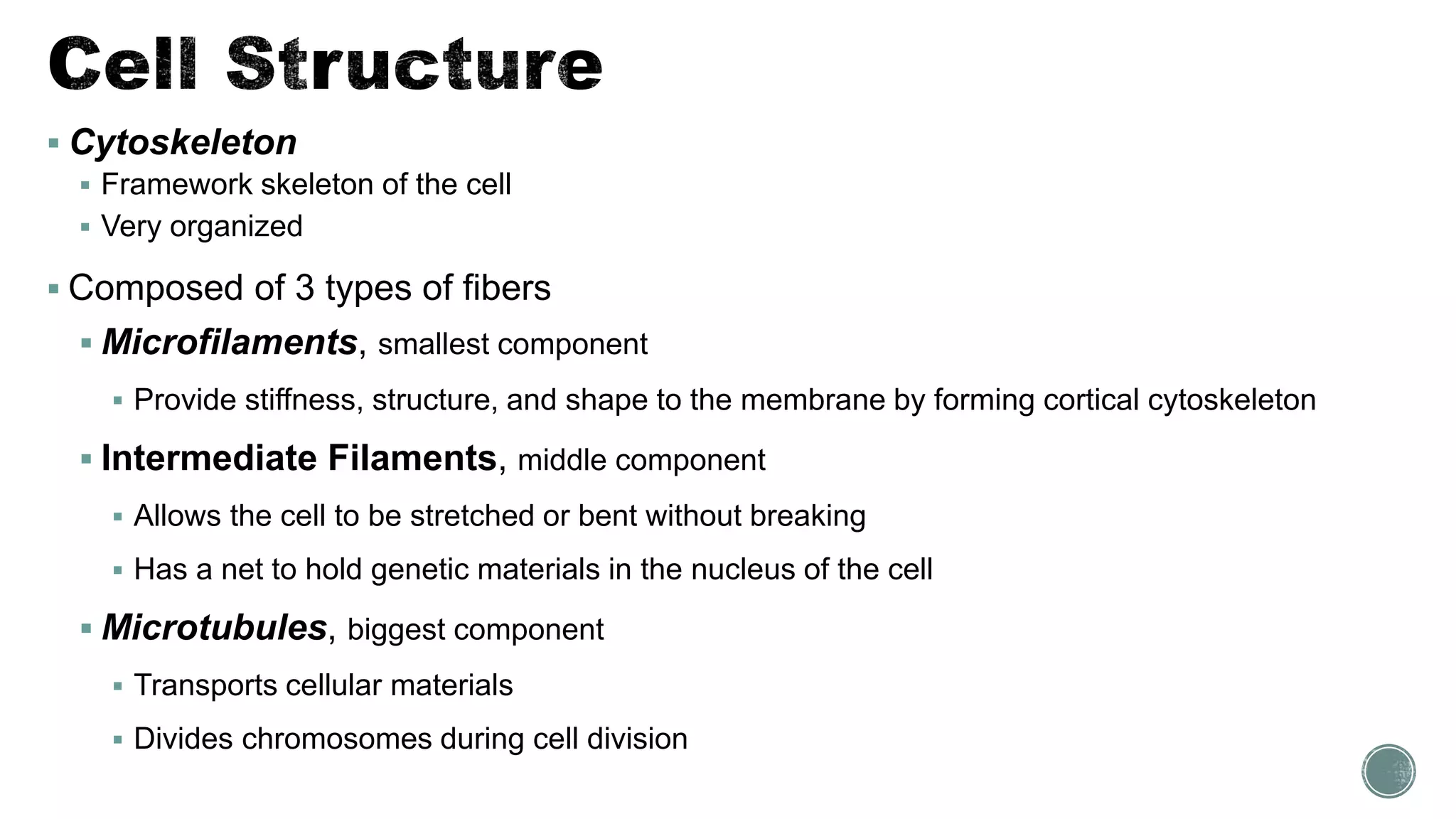 Pathophysiology: Cells and the Immune System | PPTX