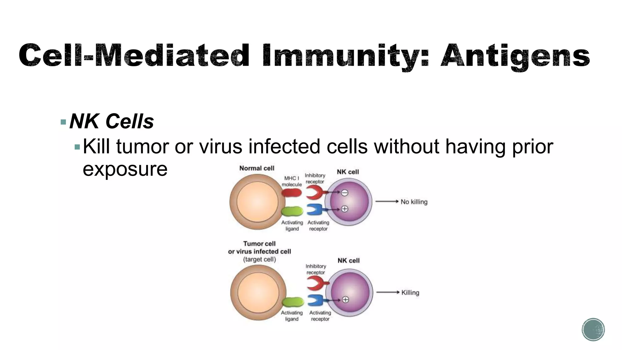 Pathophysiology Cells And The Immune System Ppt