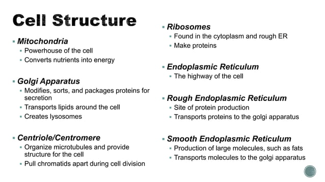 Pathophysiology: Cells and the Immune System | PPTX