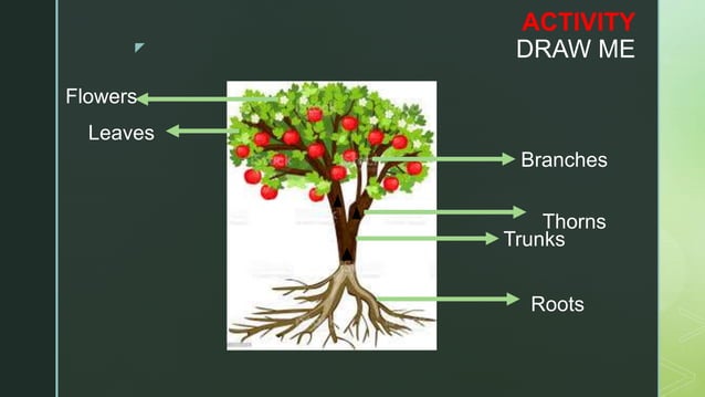 Module1 Personal Development Session 1 Activity 2 | PPT