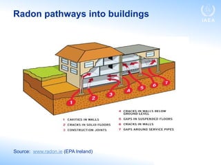 module_1_radon (1) (1)sddadadasdadad.pptx | Free Download