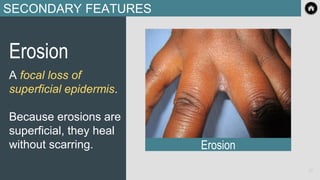 Module_1_Terminology.pdf terminology vvv | PPT